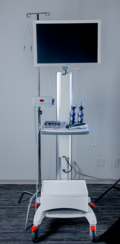 INTEGRATED ENDOSCOPY - MICRO-MEDICAL Instrumente GmbH